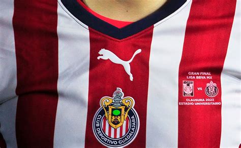 ¡sorpresa De Paunovic El Jugador Que Apunta A Ser Titular Para El
