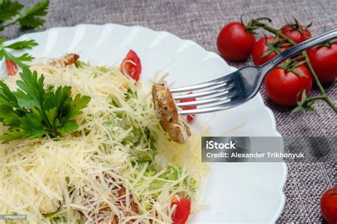 흰색 접시에 닭고기와 시저 샐러드 레스토랑 메뉴 토마토로 장식되어 있으며 강판에 간 치즈를 뿌렸습니다 밝은 회색 캔버스에 고급 요리에 대한 스톡 사진 및 기타 이미지