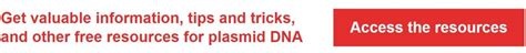 Priority 1 Obtain High Yield And Pure Plasmid Dna
