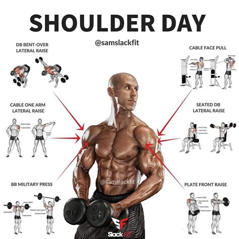 Shoulder Day Fitnessübungen Schultermuskulatur Bodybuilding übungen