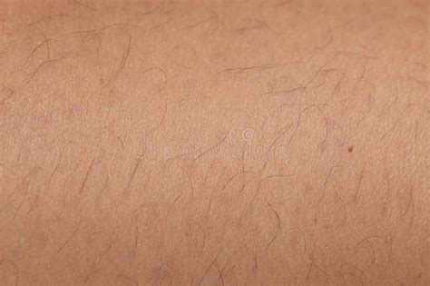 Normal Naked Hairy Women Stock Photos Free Royalty Free Stock