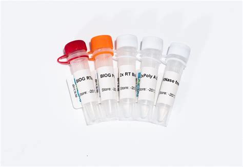 Biog Mirna加尾法逆转录试剂盒 性能参数，报价价格，图片生物器材网