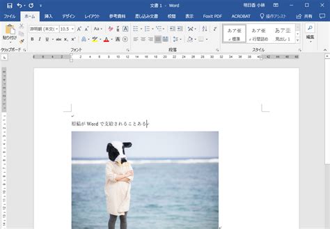 Word埋め込まれた画像データを抜き出す方法ExcelPowerPoint deep space blue