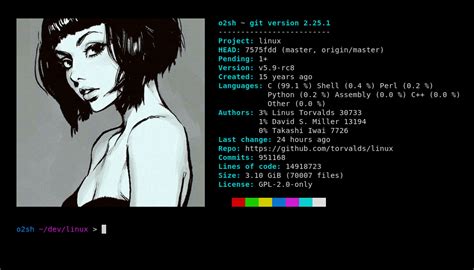 [git] repository summary on your terminal r rust