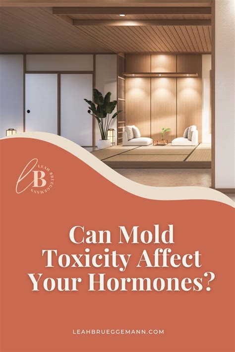 Can Mold Toxicity Affect Your Hormones — Leah Brueggemann Hormone