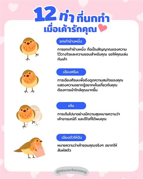 11 ท่าที่นกทำ เมื่อเค้ารักคุณ🦜💖 แกลเลอรีที่โพสต์โดย เเมวคะนอง Lemon8