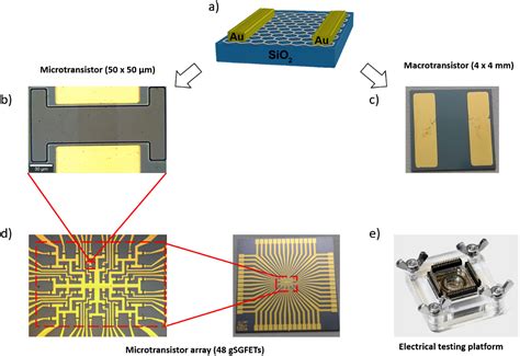 Ethanol Solvation Of Polymer Residues In Graphene Solution Gated Field