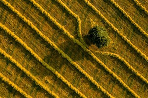 Premium Photo Aerial View Of A Field Beauty And Patterns Of A