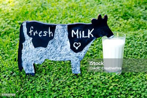 신선한 우유분필 칠판 암소 우유의 유리를 가진 잔디에 손으로 0명에 대한 스톡 사진 및 기타 이미지 0명 가득 찬 검은색 Istock