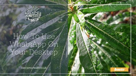 How To Use WhatsApp On Your Desktop Becsmcneill