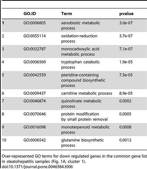 gene ontology go analysis download table