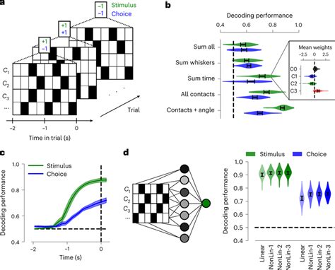 The Whisker Based Shape Discrimination Task Can Be Solved By Linearly