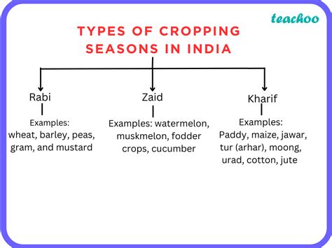 [class 10] What Are The Two Main Types Of Cropping Seasons In India