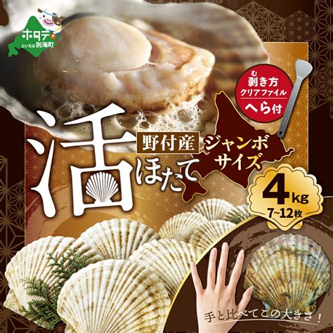【楽天市場】【ふるさと納税】【緊急支援品】高評価★5 00 テレビで紹介！野付の ジャンボホタテ の 活ホタテ 4kg相当 殻付き 北海道