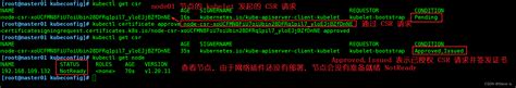 云原生Kubernetes系列第三篇二进制部署单节点Kubernetesk8sv1 20不要因为别人都在交卷自己就乱写答案二