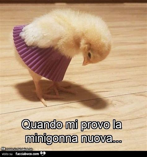 Quando Mi Provo La Minigonna Nuova