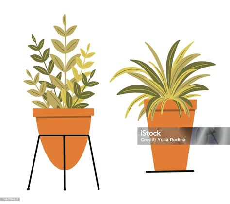 화분에 집 식물 세트입니다 흰색 배경에 분리된 손으로 그리는 그림 플랫 0명에 대한 스톡 벡터 아트 및 기타 이미지 0명 가정 생활 개체 그룹 Istock