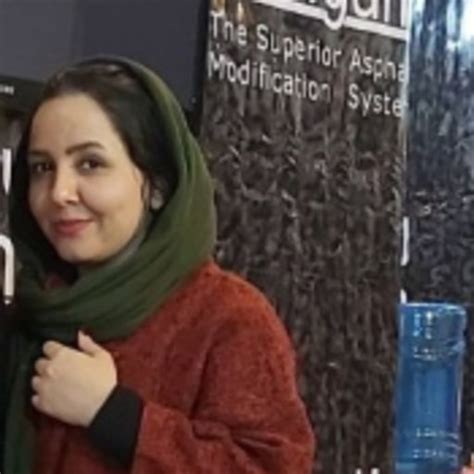 Negin Misaghian Lecturer Phd In Computer Engineeringsoftware