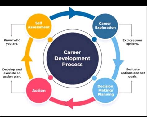 Career Development Process: Career Exploration, Decision Making, Action, Self Assessment