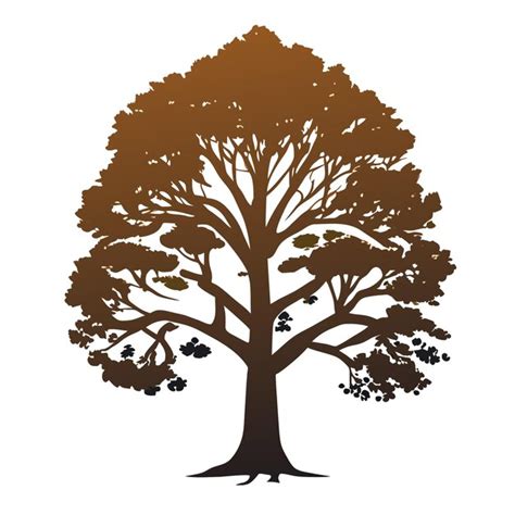 Premium Vector Flat Vector Art Of A Detailed 2d Vector Oak Tree