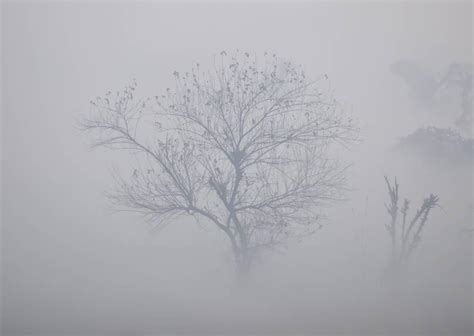 Winter Action Plan To Combat Air Pollution In Delhi Will Be Unveiled Soon