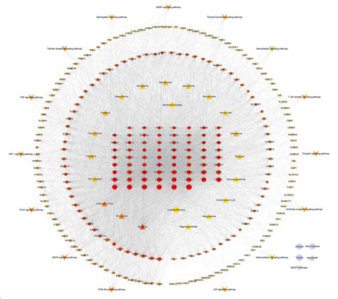 The Component Target Pathway Network Diagram Download Scientific