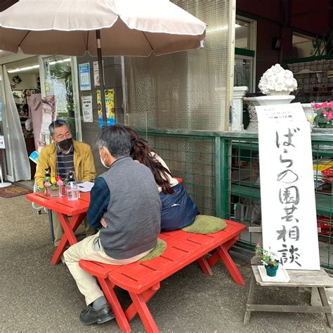 秋のばら園 開園中イベント⑤ 姫路ばら園