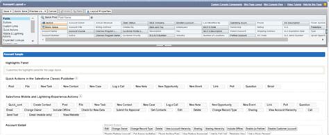 salesforce admin page layouts record types and fields