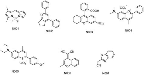 一种杂环不同非对称菁染料的合成方法