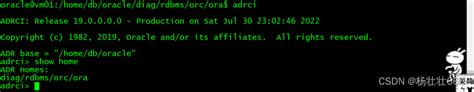 Oracle视图查询慢oracle11g新特性 Vdiaginfooracle 视图慢 Csdn博客