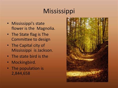50 States Powerpoint Ppt