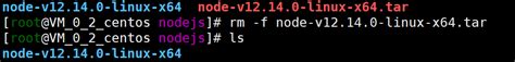 Linux系统安装nodejs详细教程 Csdn博客
