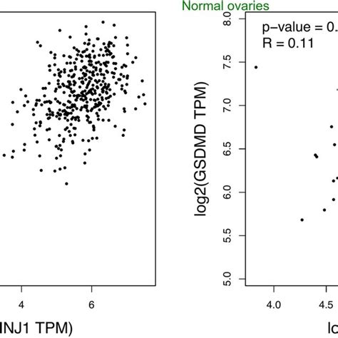 Ninj1 Expression Is Positively Correlated With Immune Infiltration By