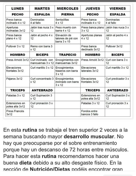 Pin De Jaime En Ejercicios Rutinas Para Gym Hombres Rutinas De