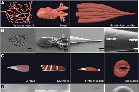 Free Space Nanoprinting Beyond Optical Limits To Create 4d Functional