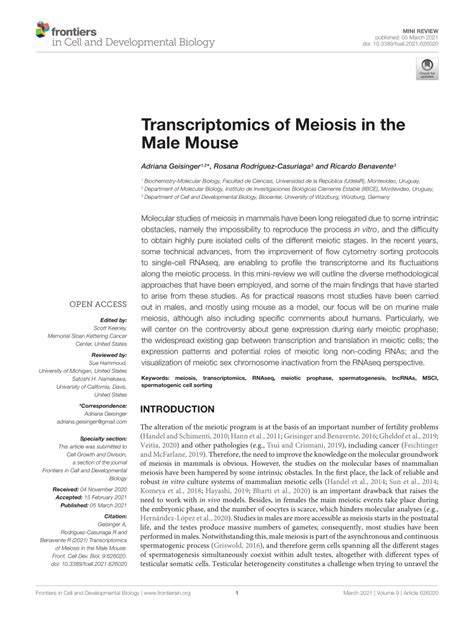 Pdf Transcriptomics Of Meiosis In The Male Mouse