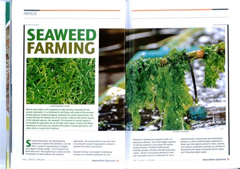 Pdf Seaweed Culture For Carbon Sequestration And For Livelihood Options