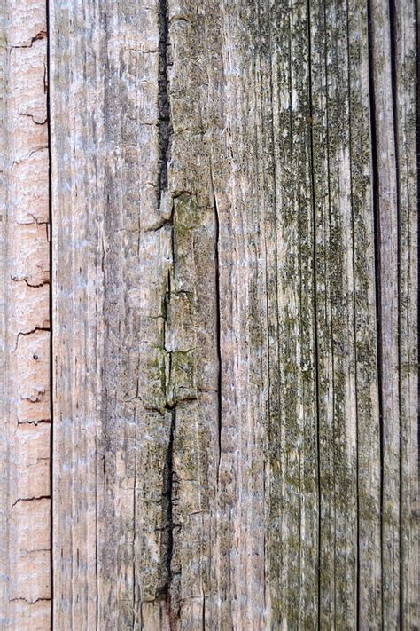 Worn Split Fence Post Close Up Log Split Wood Photo Background And