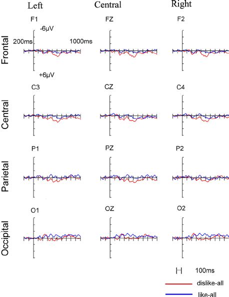 Different Waveforms Construct By Comparing Activities During Download Scientific Diagram