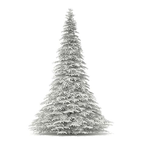 블루 스프루스 Picea Pungens 74m 3d 모델 20 Unknown C4d Max Fbx Ma Obj Free3d