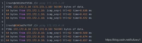 Docker 配置容器固定ip（亲测有效）docker如何指定容器地址 Csdn博客