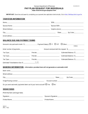 Fillable Online Fill IoPAY PLAN REQUEST FOR INDIVIDUALSPAY PLAN REQUEST