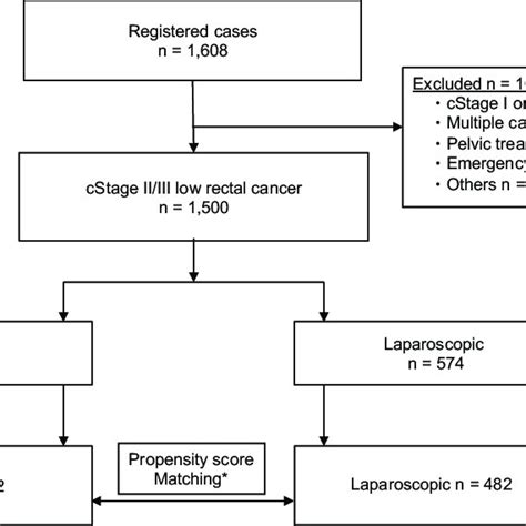 Flow Diagram Of Patient Disposition For Propensity Score Age Sex