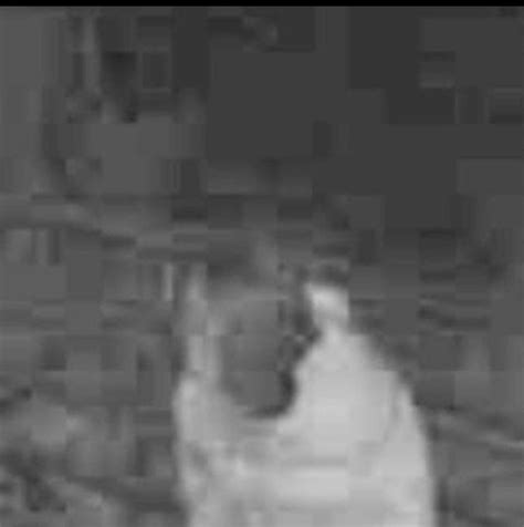 Caught On Camera Man Having Sex With Horse Poses A Public Danger