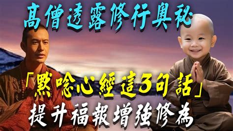 修行者的福音高僧親授3句心經默唸福報修為飆升還能帶來健康和好運 小沙彌講禪 佛教 佛法 人生感悟 阿弥陀佛 菩薩 佛學