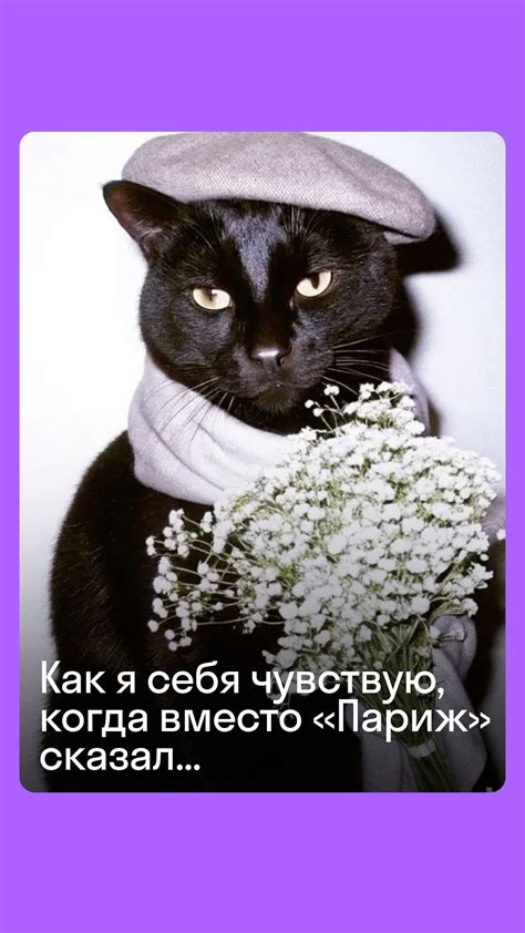 Skyeng Skyeng онлайн школа английского языка