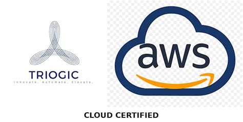 optimize your aws cloud for performance and cost savings by triogic