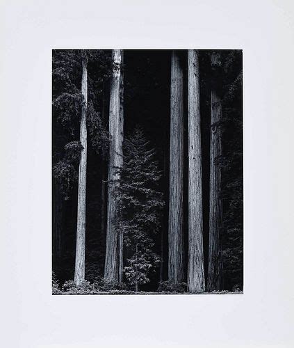 David Muench Sold At Auction On 14th October Brunk Auctions