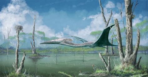 Why We Think Giant Pterosaurs Could Fly Rdinosaurs
