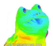 Rainbow Frog  Rainbow Frog Discover And Share S